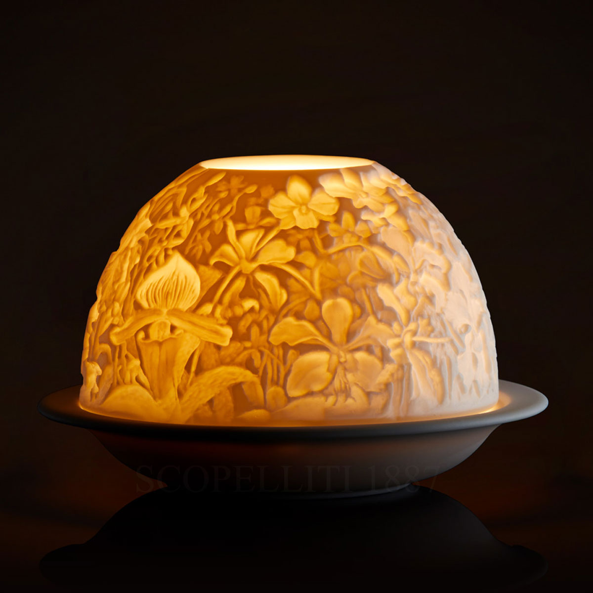 Litofania Orchidee Bernardaud - SCOPELLITI 1887